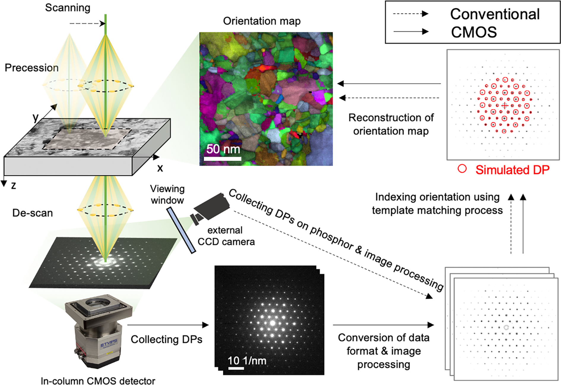 Automated Crystal Orientation Mapping By Precession Electron Diffraction Assisted Four