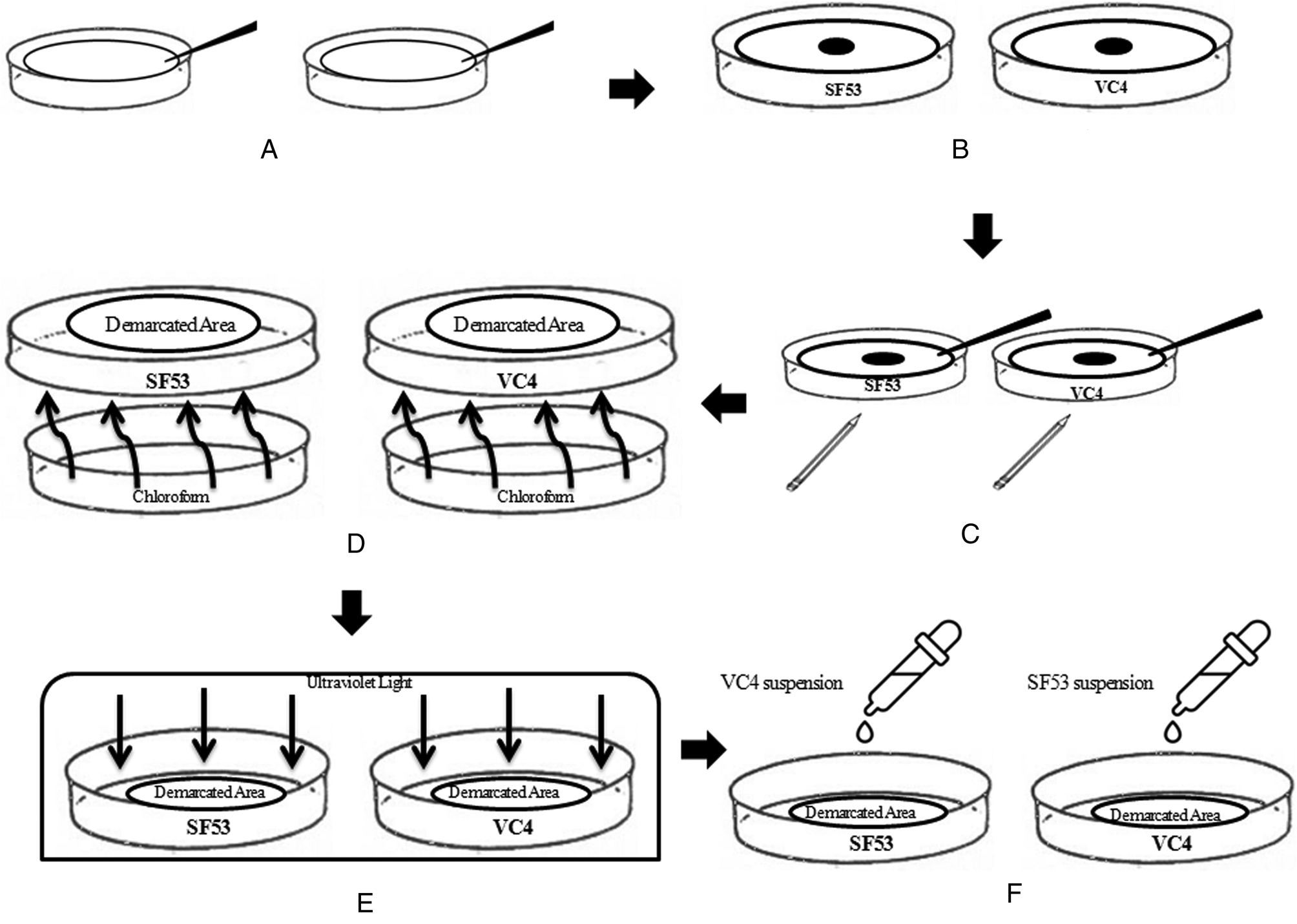 In vitro compatibility and nematicidal activity of Monacrosporium ...