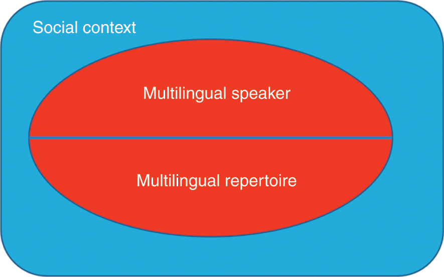 Pedagogical Translanguaging