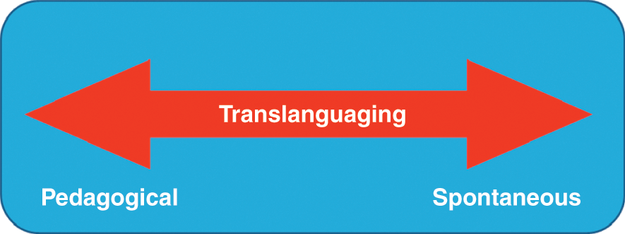 Pedagogical Translanguaging