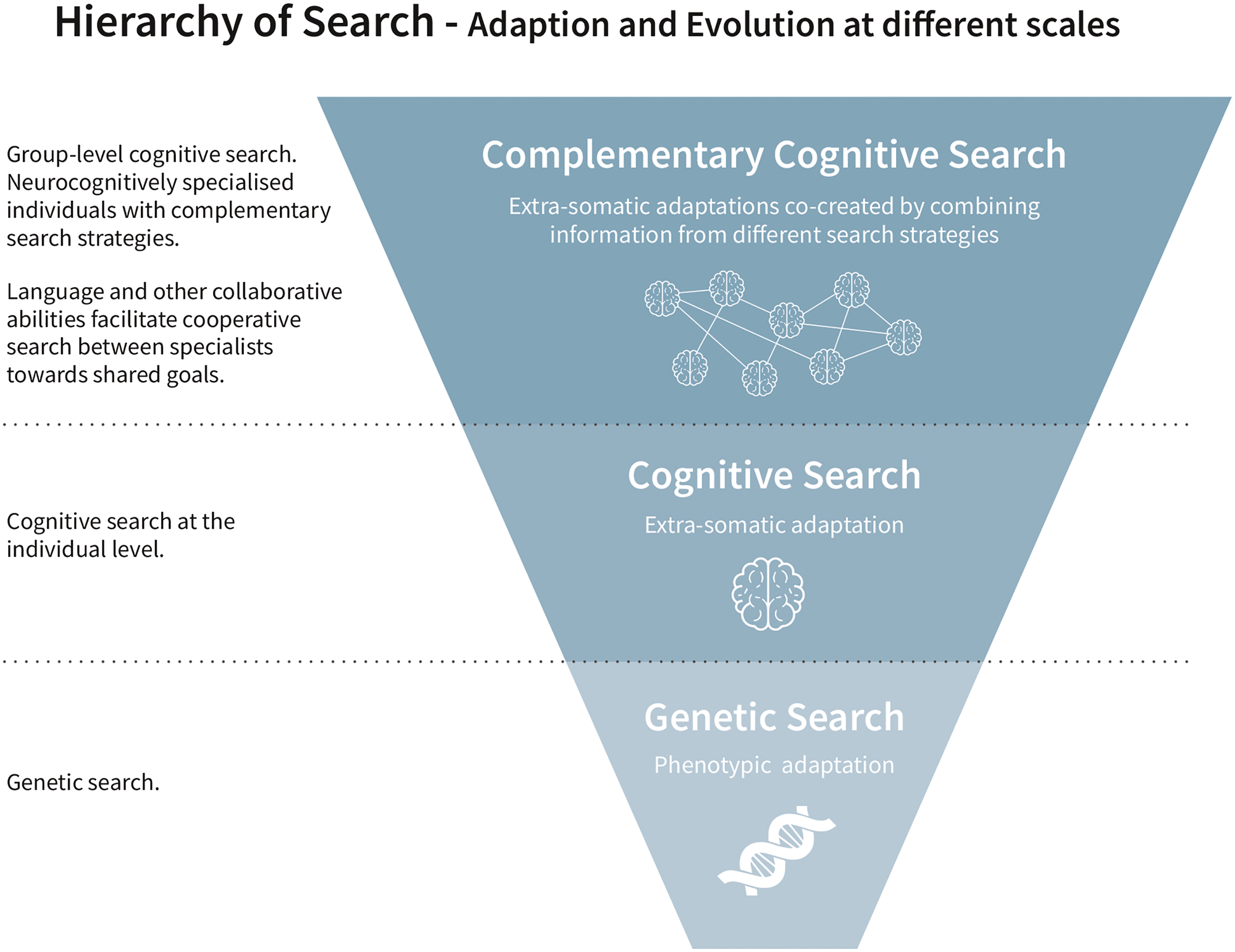 The Evolution of Complementary Cognition: Humans Cooperatively Adapt ...