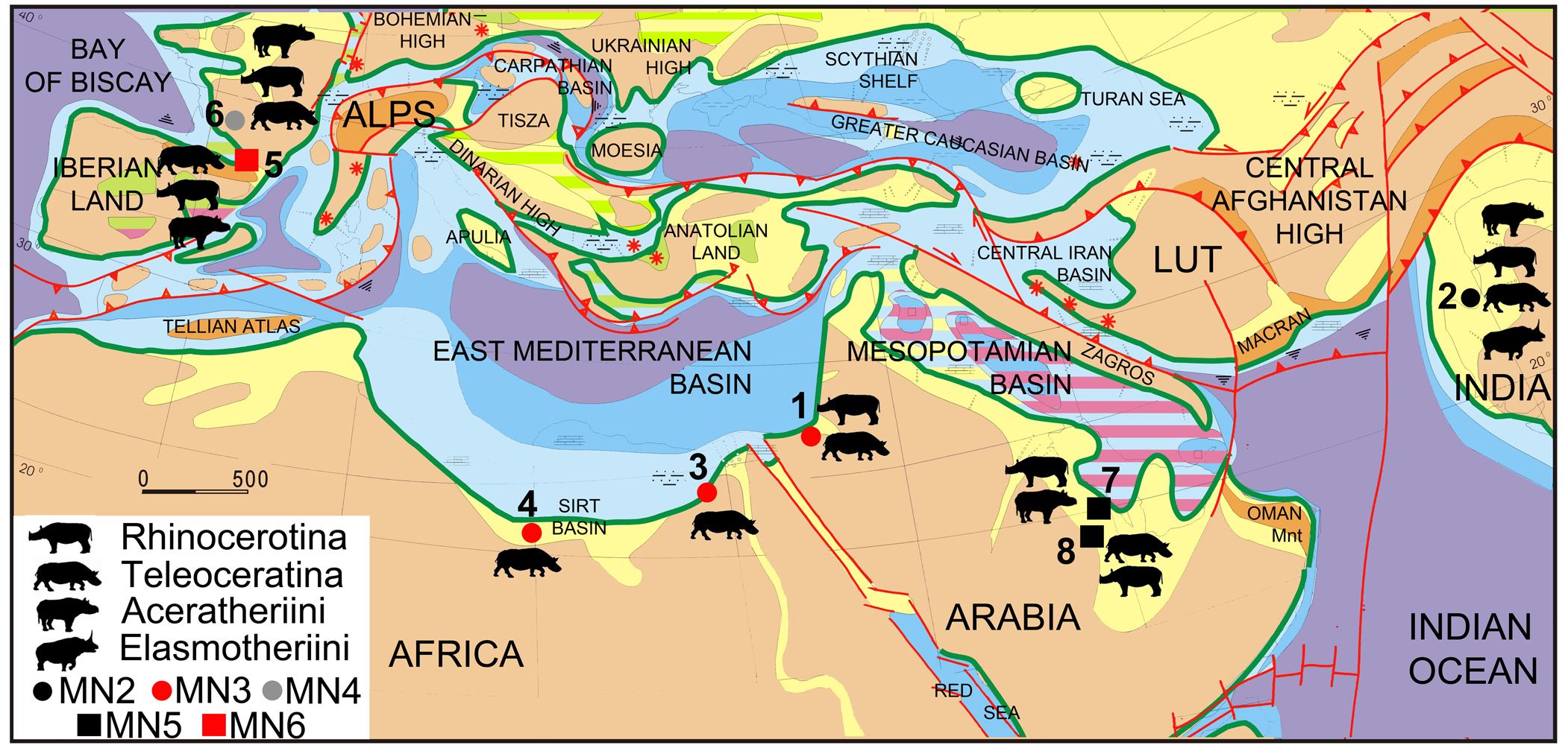 Rhinocerotidae from the early Miocene of the Negev (Israel) and ...