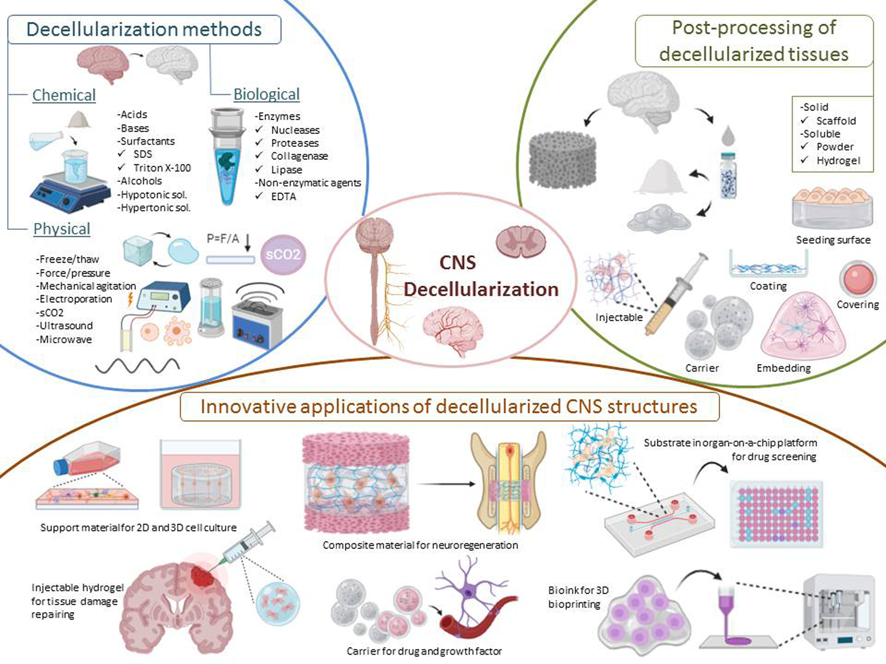 Decellularised extracellular matrix-based biomaterials for repair and ...