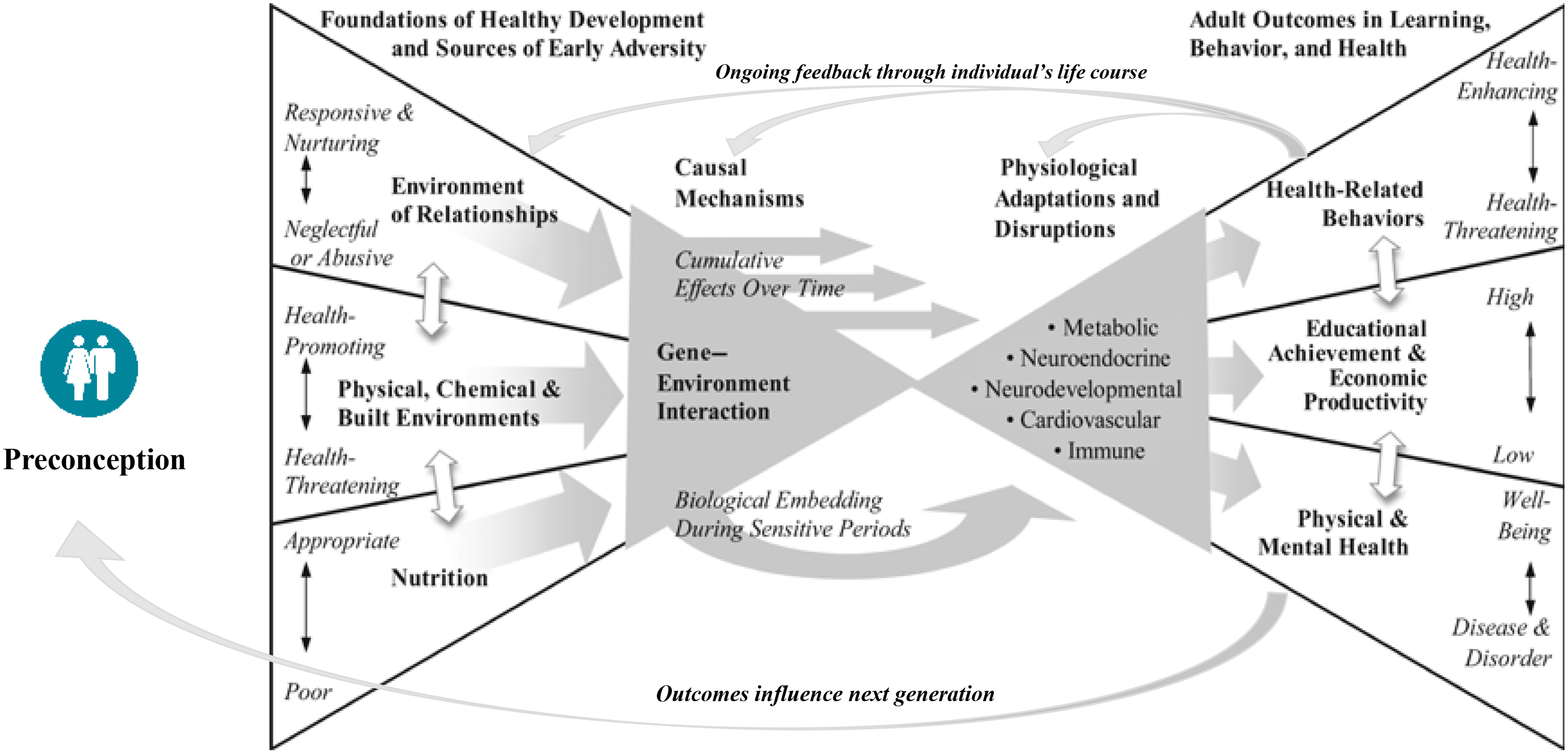Selecting life course frameworks to guide and communicate large new ...