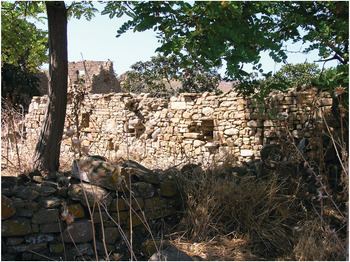 Who’s Who in the Rural Landscape (Chapter 2) - Rural Communities in ...