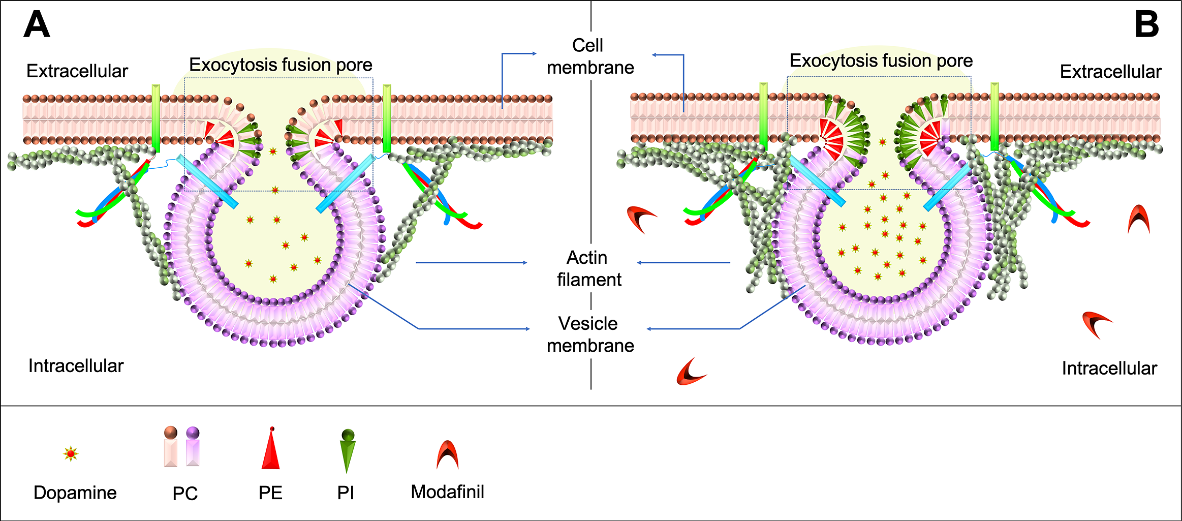Combined electrochemistry and mass spectrometry imaging to interrogate ...