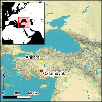 The use of local fibres for textiles at Neolithic Çatalhöyük ...