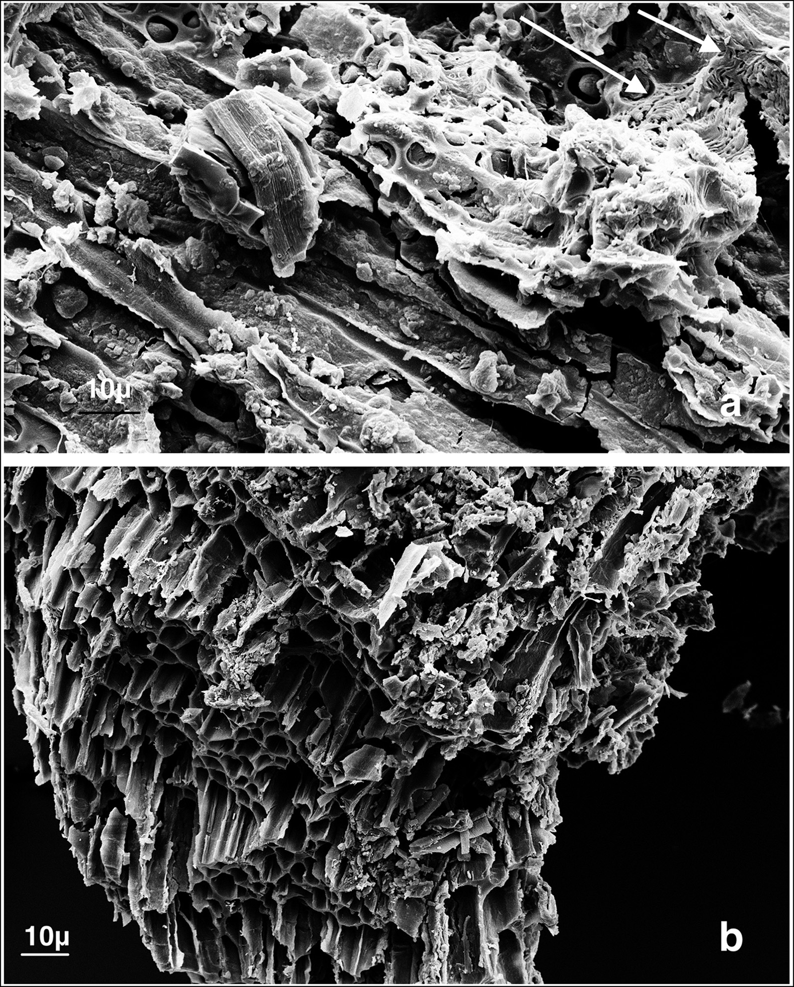 The use of local fibres for textiles at Neolithic Çatalhöyük ...