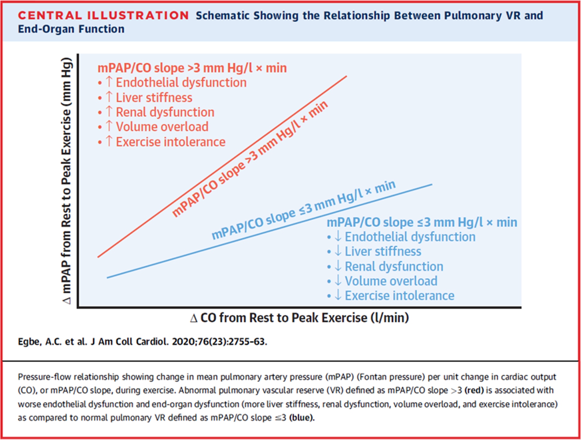 The pulmonary vascular bed in patients with functionally univentricular ...