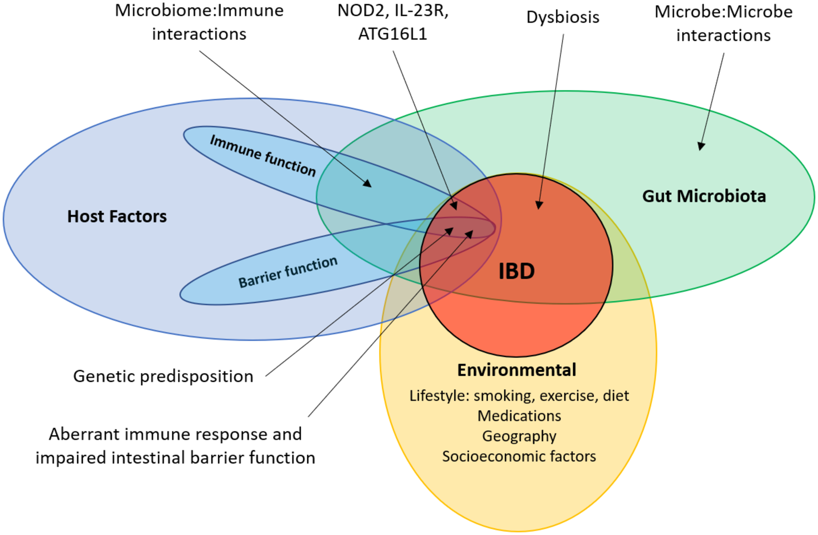 Inflammatory bowel disease and the gut microbiota | Proceedings of the ...