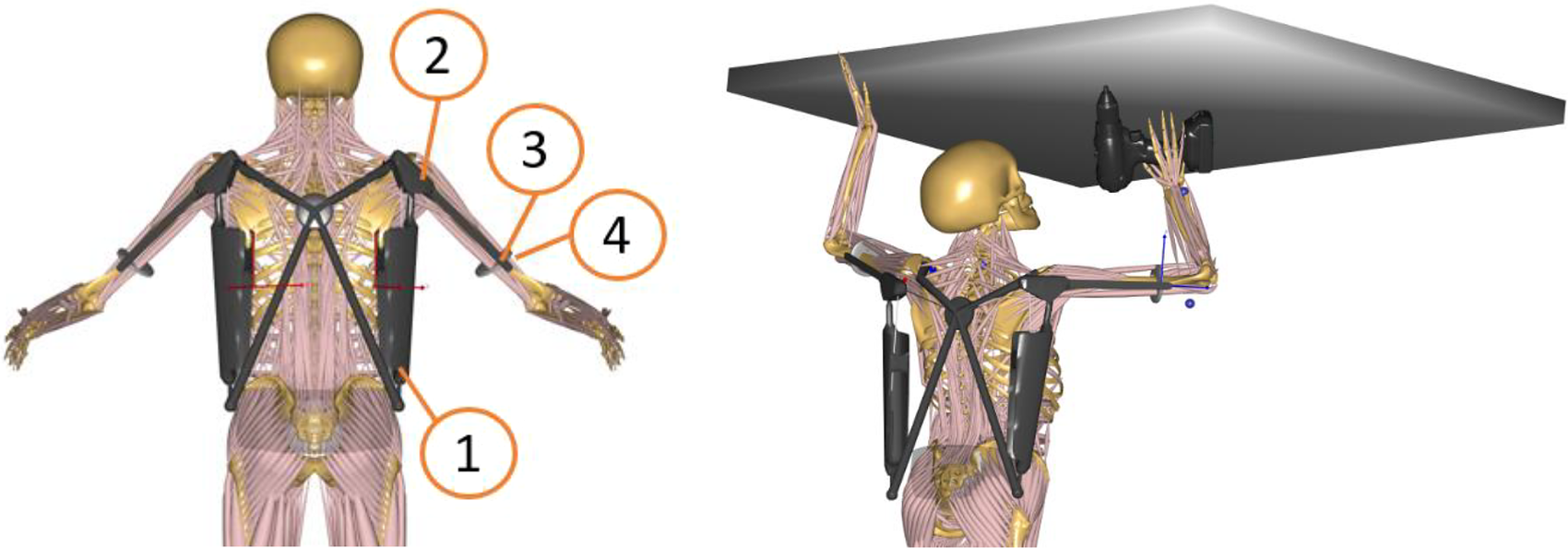 Assessing the efficiency of exoskeletons in physical strain reduction ...