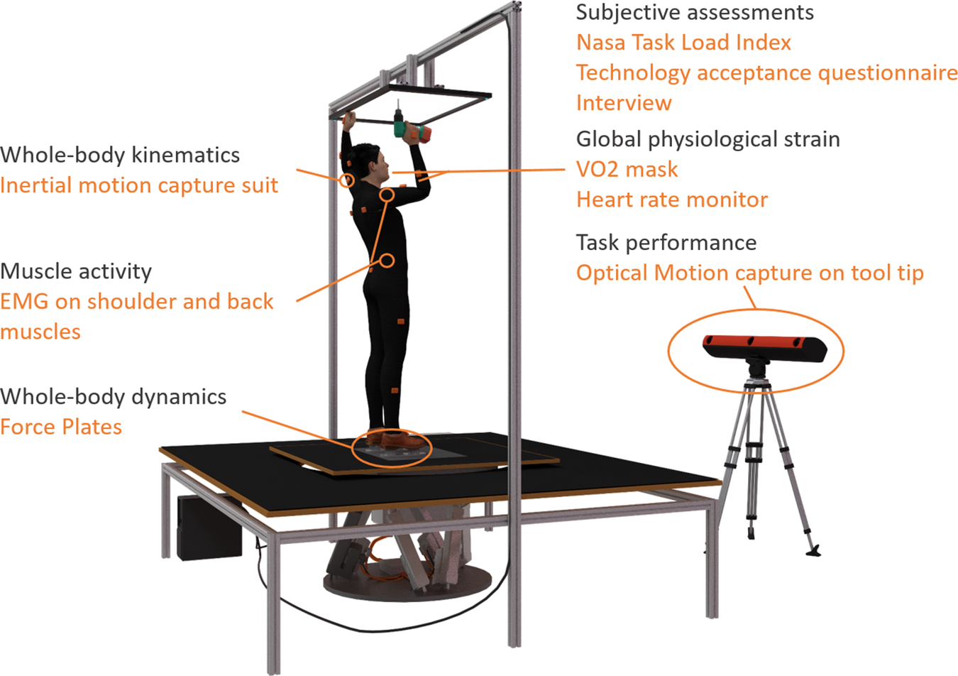 Assessing the efficiency of exoskeletons in physical strain reduction ...
