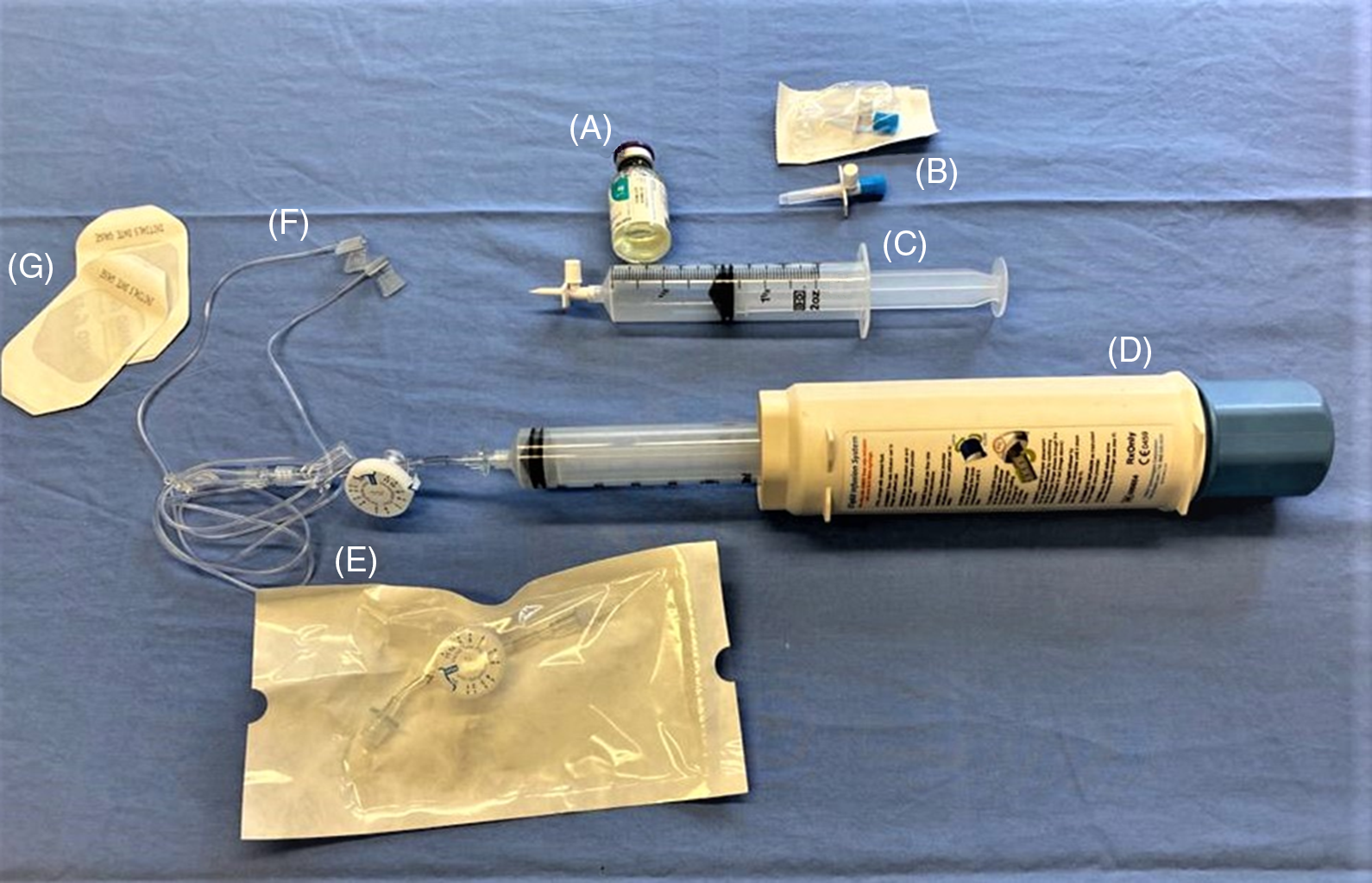 Practical Aspects of Transitioning from Intravenous to Subcutaneous ...