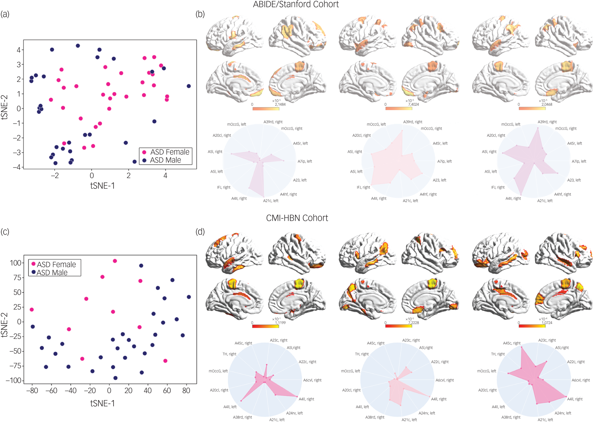Deep learning identifies robust gender differences in functional brain ...