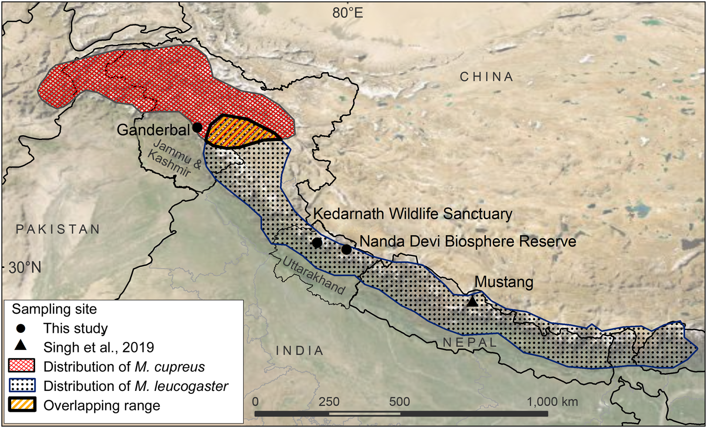 Genetic evidence indicates the occurrence of the Endangered Kashmir ...