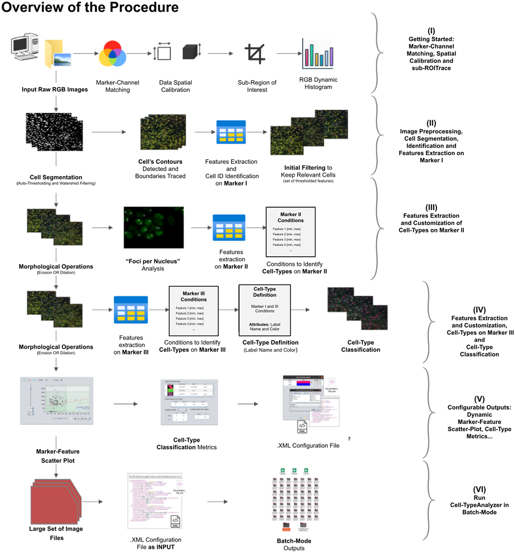 Cell-TypeAnalyzer: A flexible Fiji/ImageJ plugin to classify cells ...