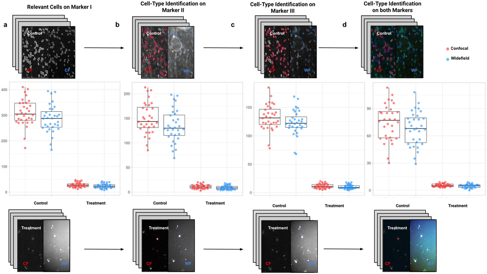 Cell-TypeAnalyzer: A flexible Fiji/ImageJ plugin to classify cells ...