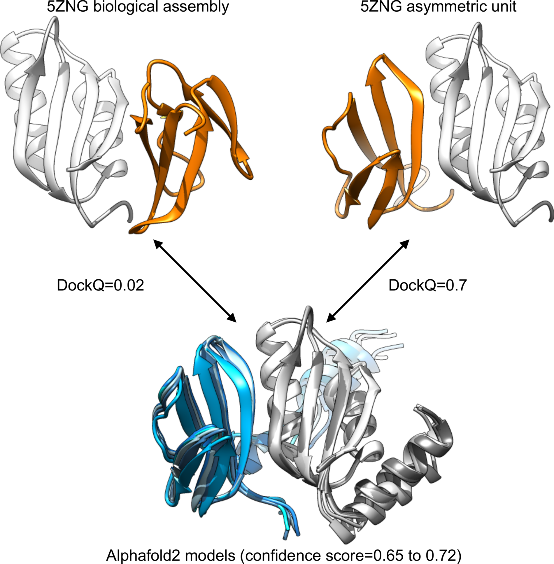 When Alphafold2 predictions go wrong for protein–protein complexes, is there something to be ...
