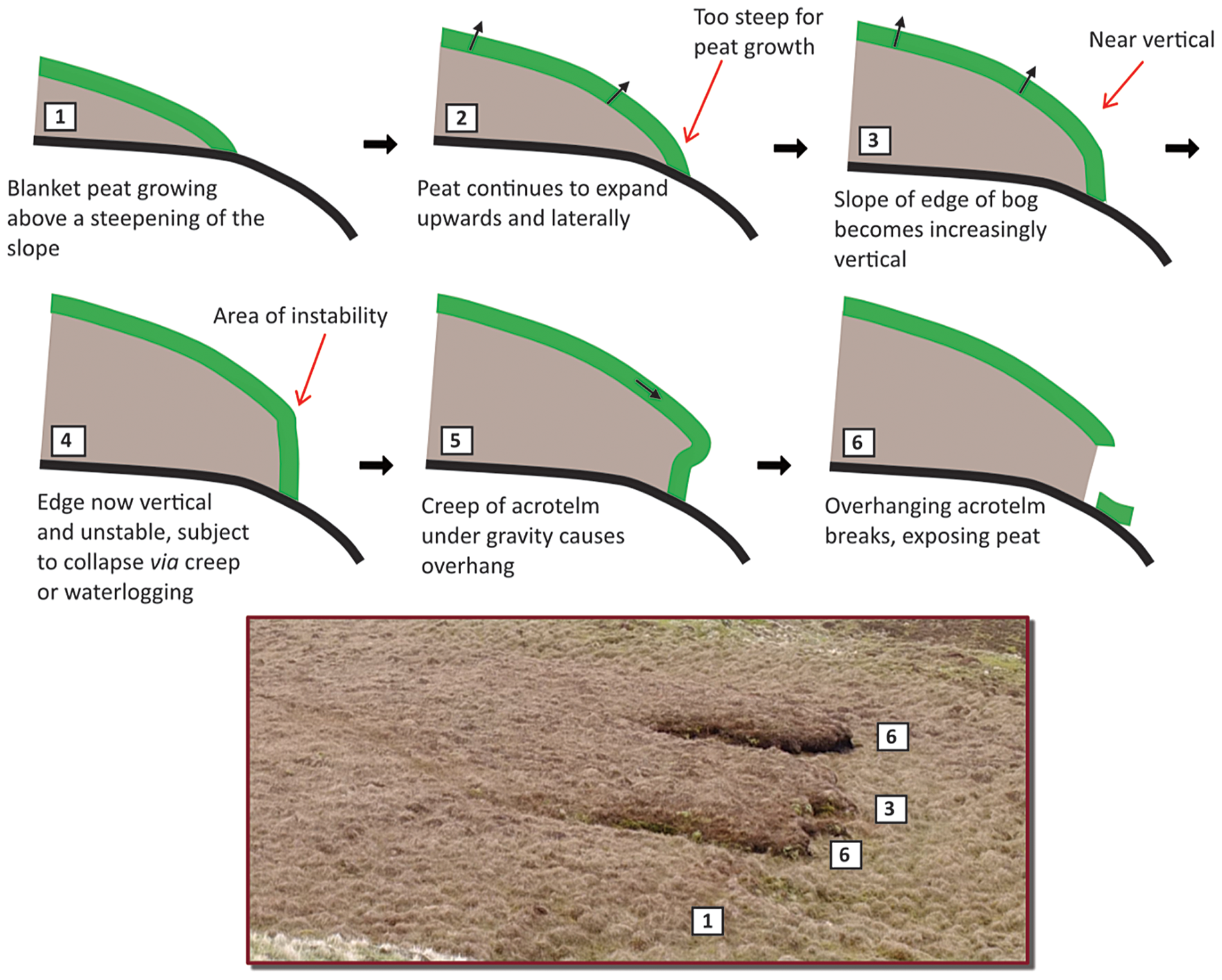 The contribution of Antarctic moss peat to the understanding of global ...