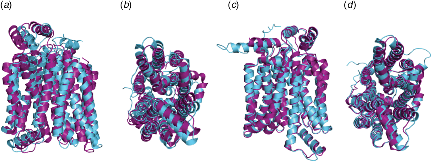 Hiding in plain sight: three chemically distinct α-helix types ...