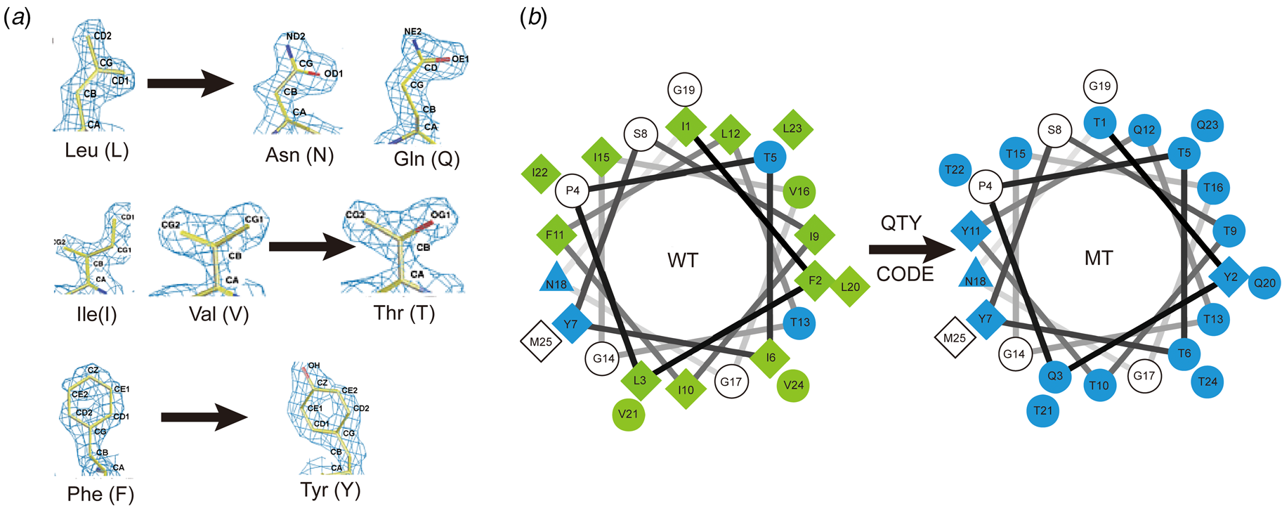 Hiding in plain sight: three chemically distinct α-helix types ...