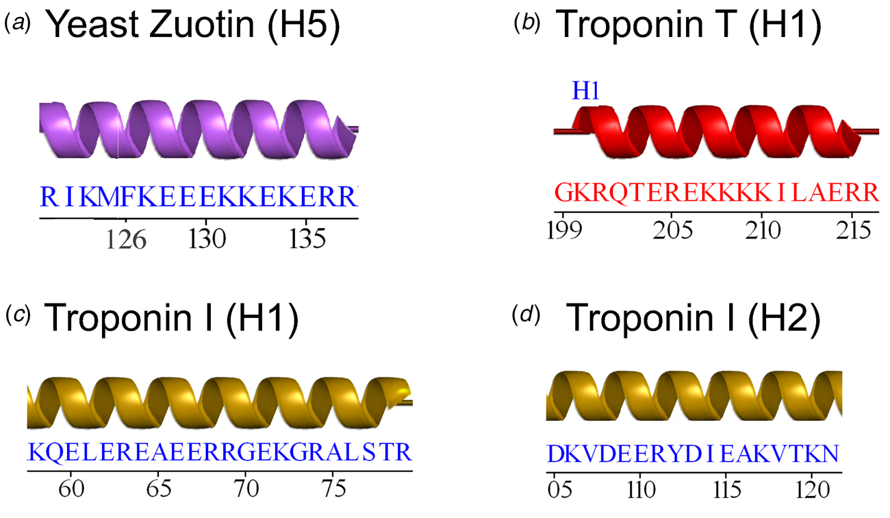 Hiding in plain sight: three chemically distinct α-helix types ...