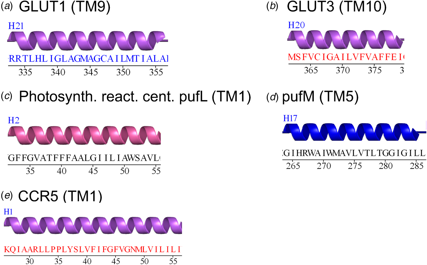 Hiding in plain sight: three chemically distinct α-helix types ...