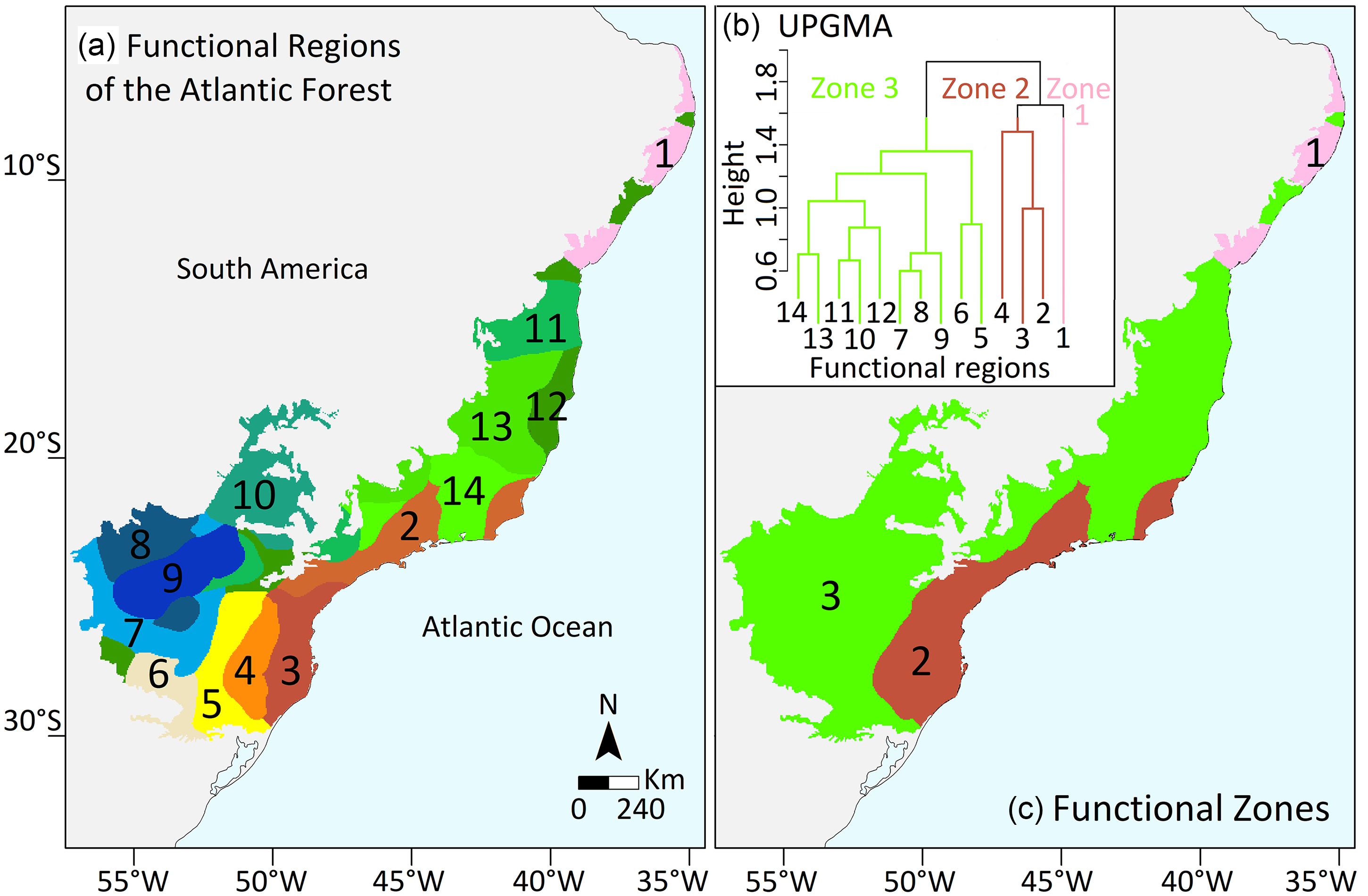 Mapping functional tree regions of the Atlantic Forest: how much is ...