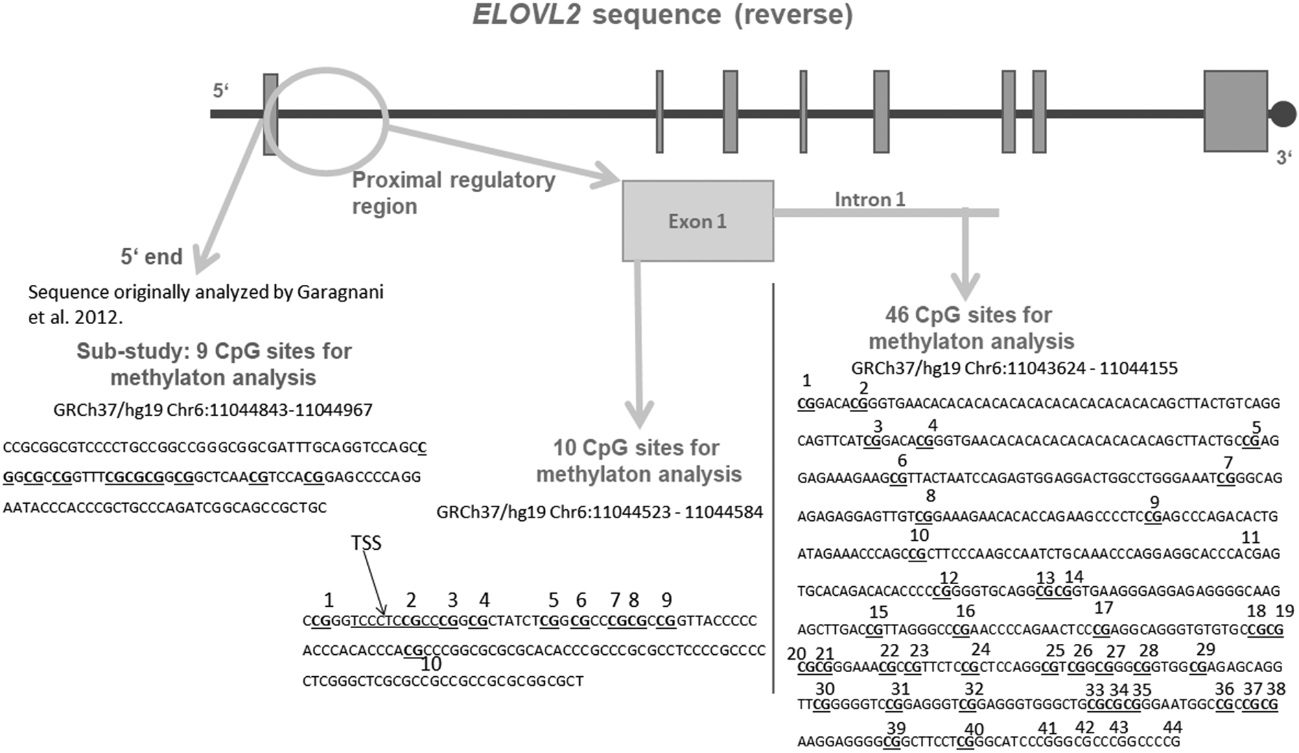 Characterization of the effects of age and childhood maltreatment on ...