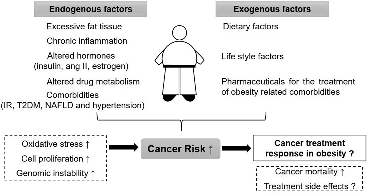 Obesity-related genomic instability and altered xenobiotic metabolism ...