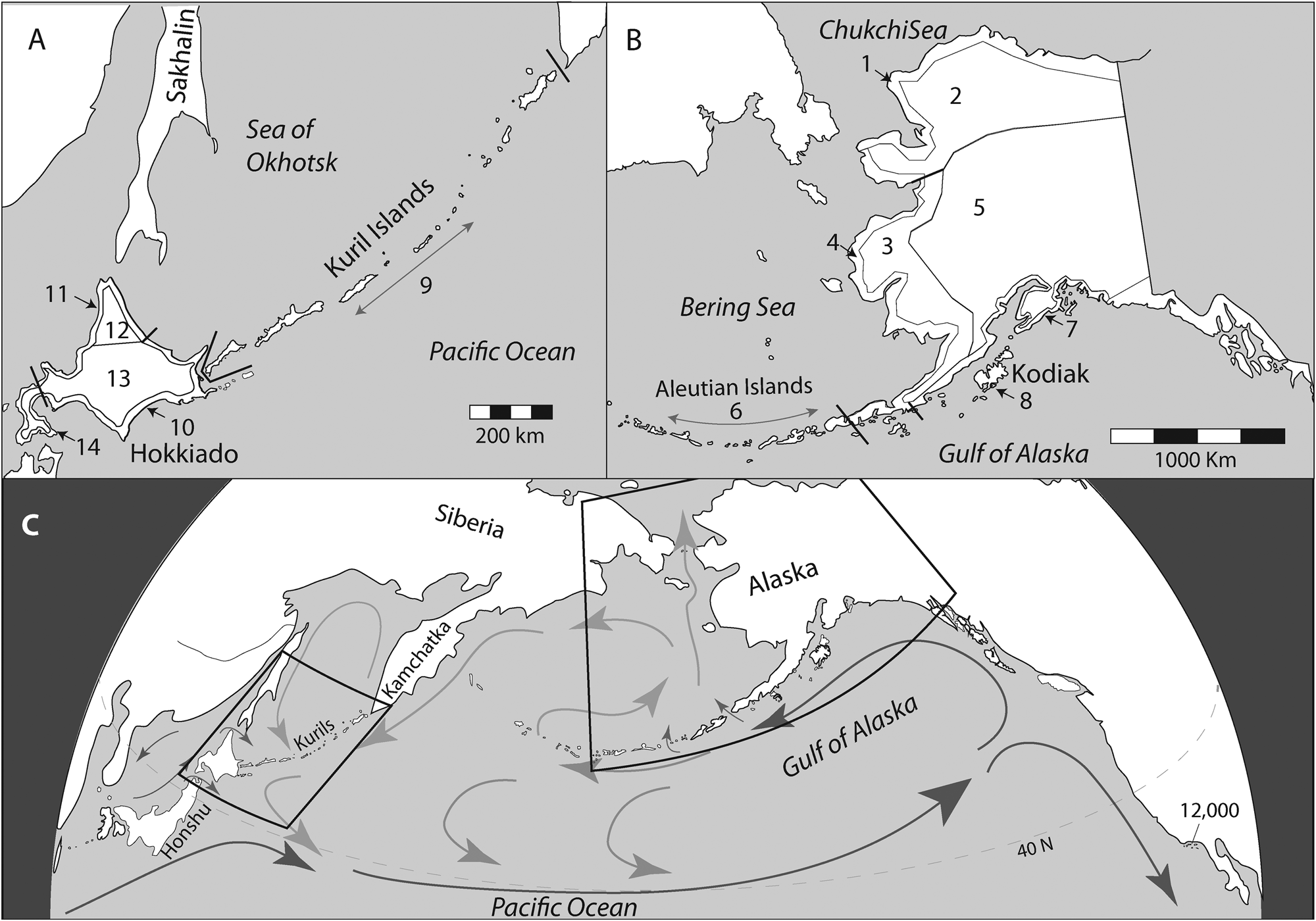 Human Paleodemography and Paleoecology of the North Pacific Rim from ...
