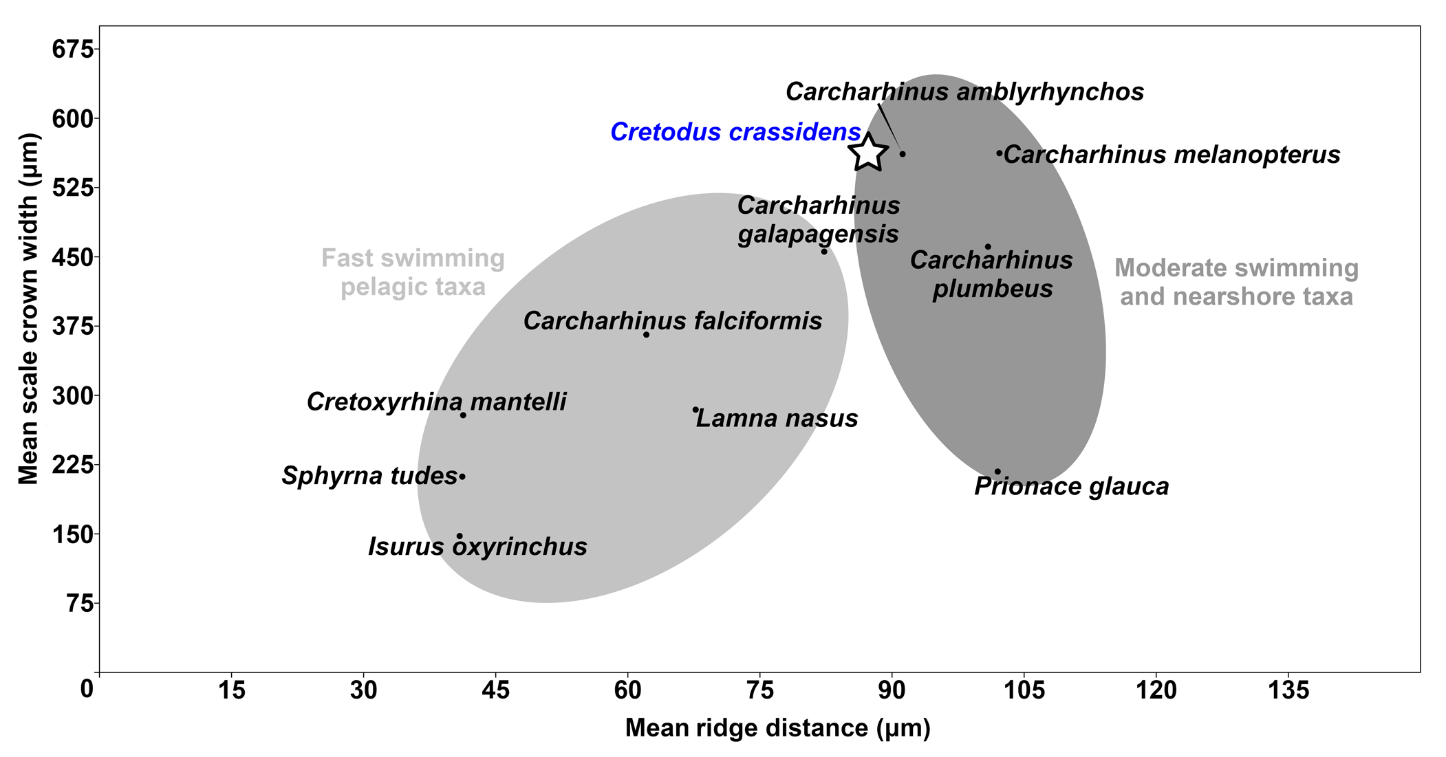 Morphology and paleobiology of the Late Cretaceous large-sized shark ...