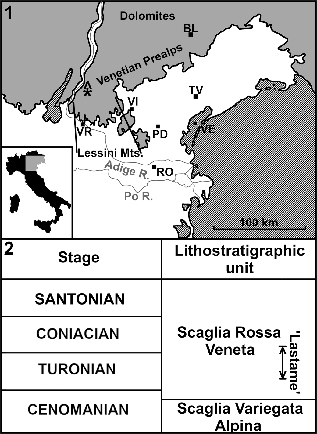Morphology and paleobiology of the Late Cretaceous large-sized shark ...