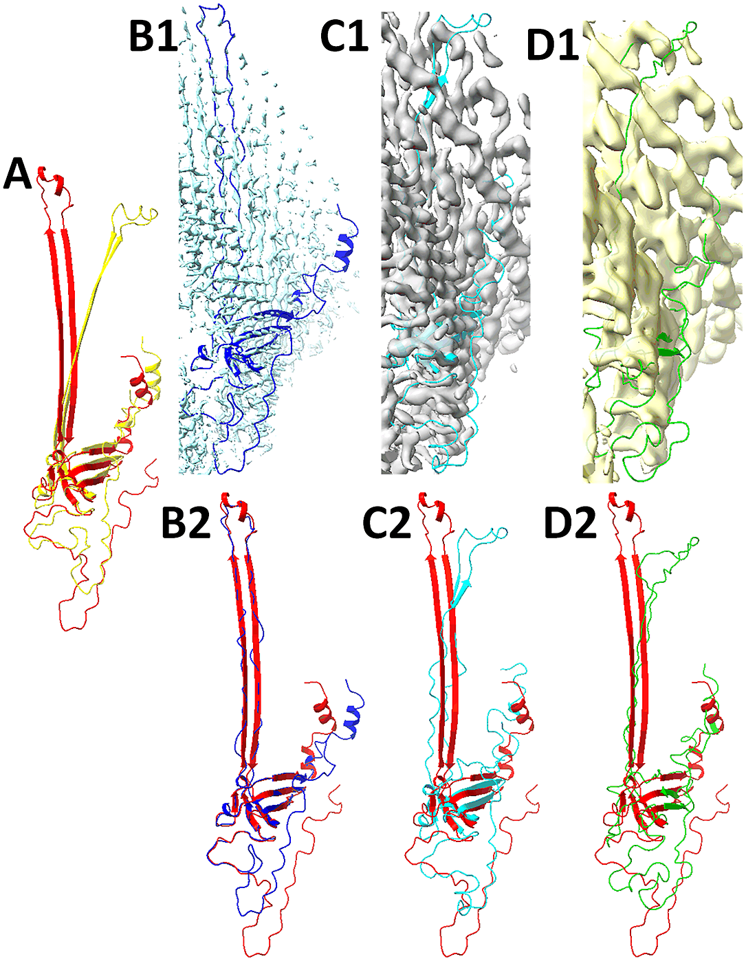 Refinement of AlphaFold2 models against experimental and hybrid cryo-EM ...