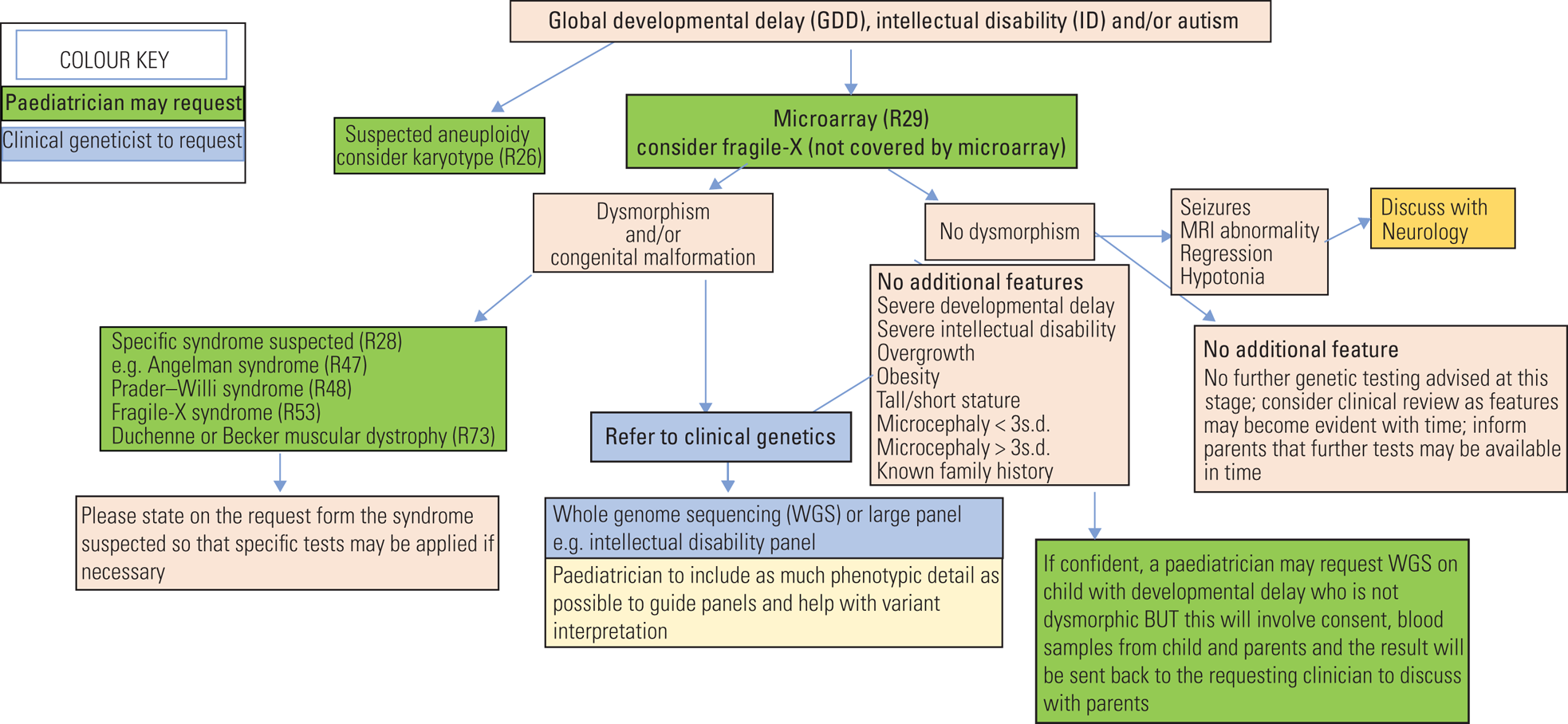 Genetic investigations pathway for people with intellectual disability ...