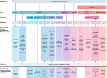 The Hierarchical Taxonomy of Psychopathology (HiTOP) in psychiatric ...