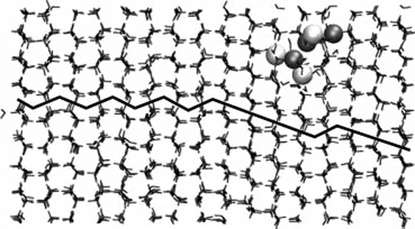 Molecular dynamics simulation of ice growth from supercooled pure water ...