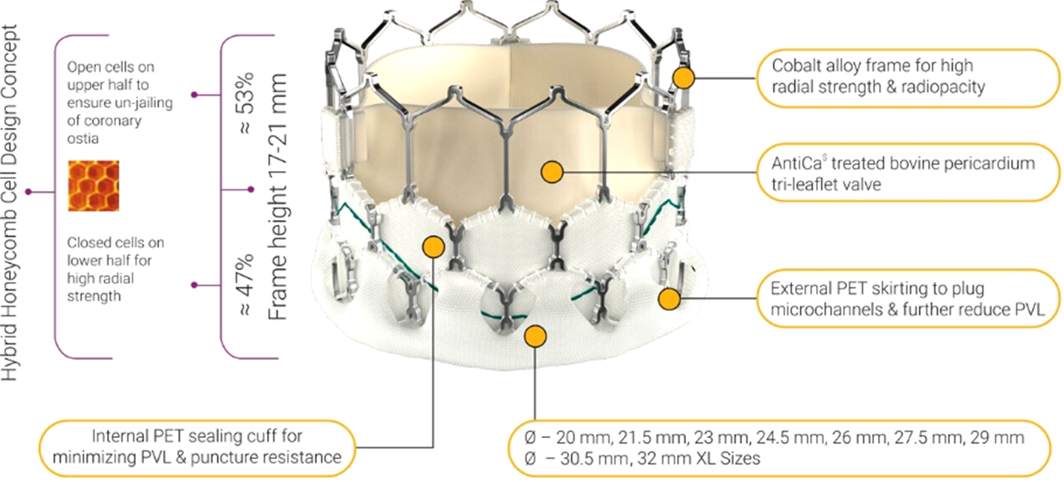 First experiences with Myval Transcatheter Heart Valve System in the ...