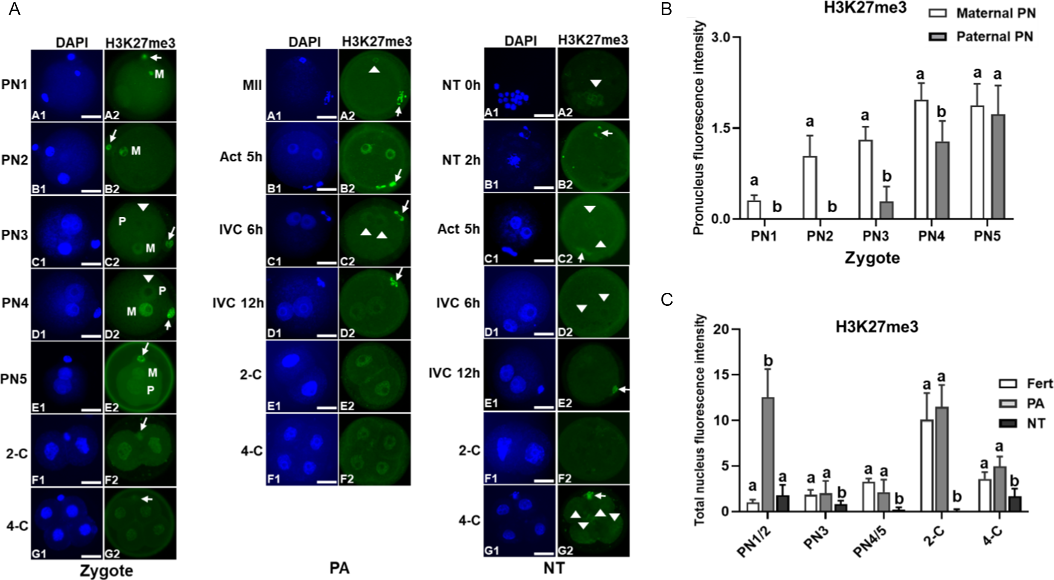Dynamic and aberrant patterns of H3K4me3, H3K9me3, and H3K27me3 during ...