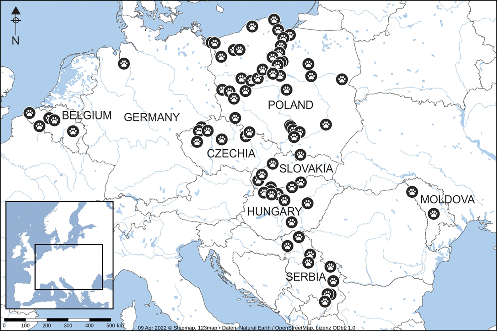 The history of the domestic cat in Central Europe | Antiquity ...