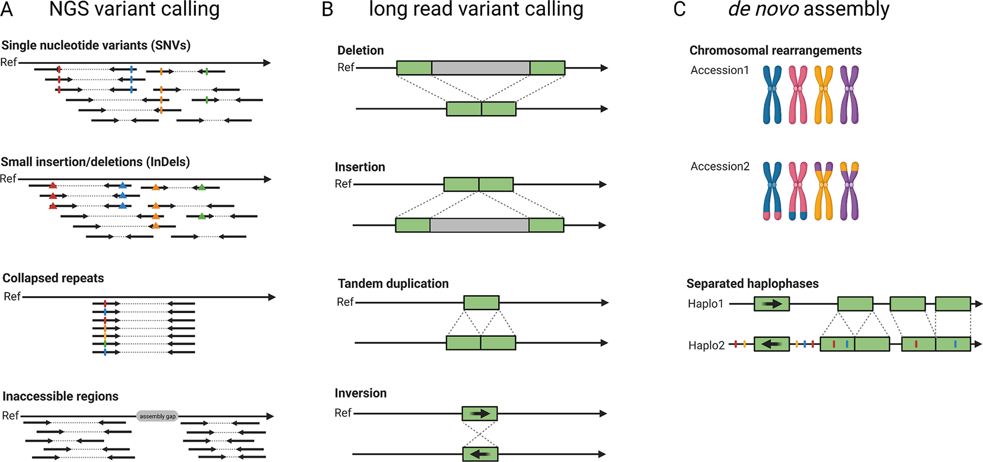 Plant genome sequence assembly in the era of long reads: Progress ...