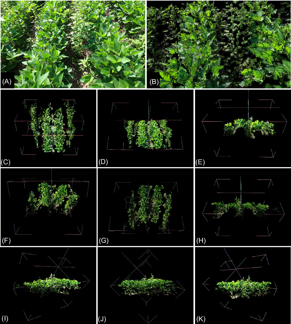 New directions in weed management and research using 3D imaging | Weed ...