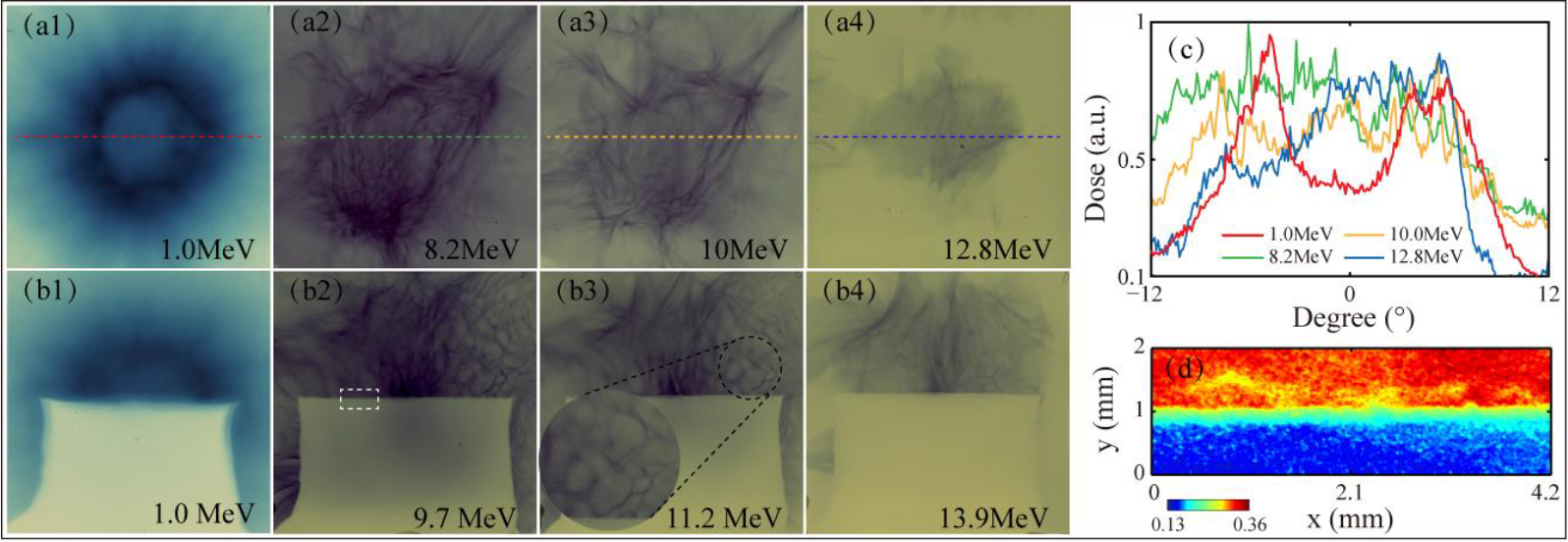 Mapping non-laminar proton acceleration in laser-driven target normal ...