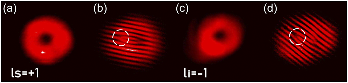 Femtosecond infrared optical vortex lasers based on optical parametric ...