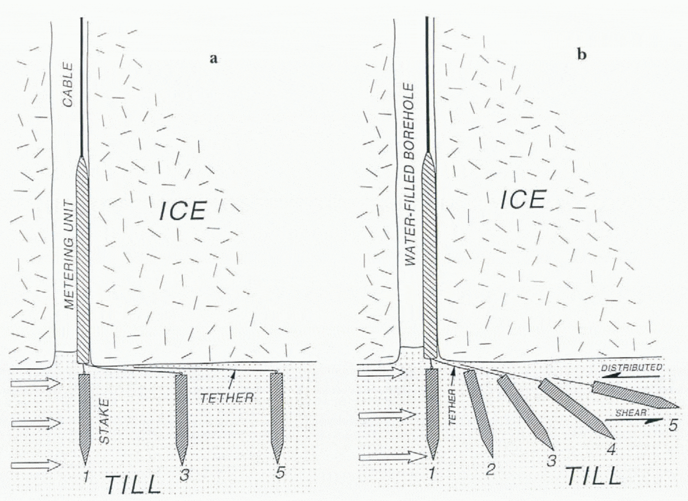 Basal sliding of Ice Stream B, West Antarctica | Journal of Glaciology ...