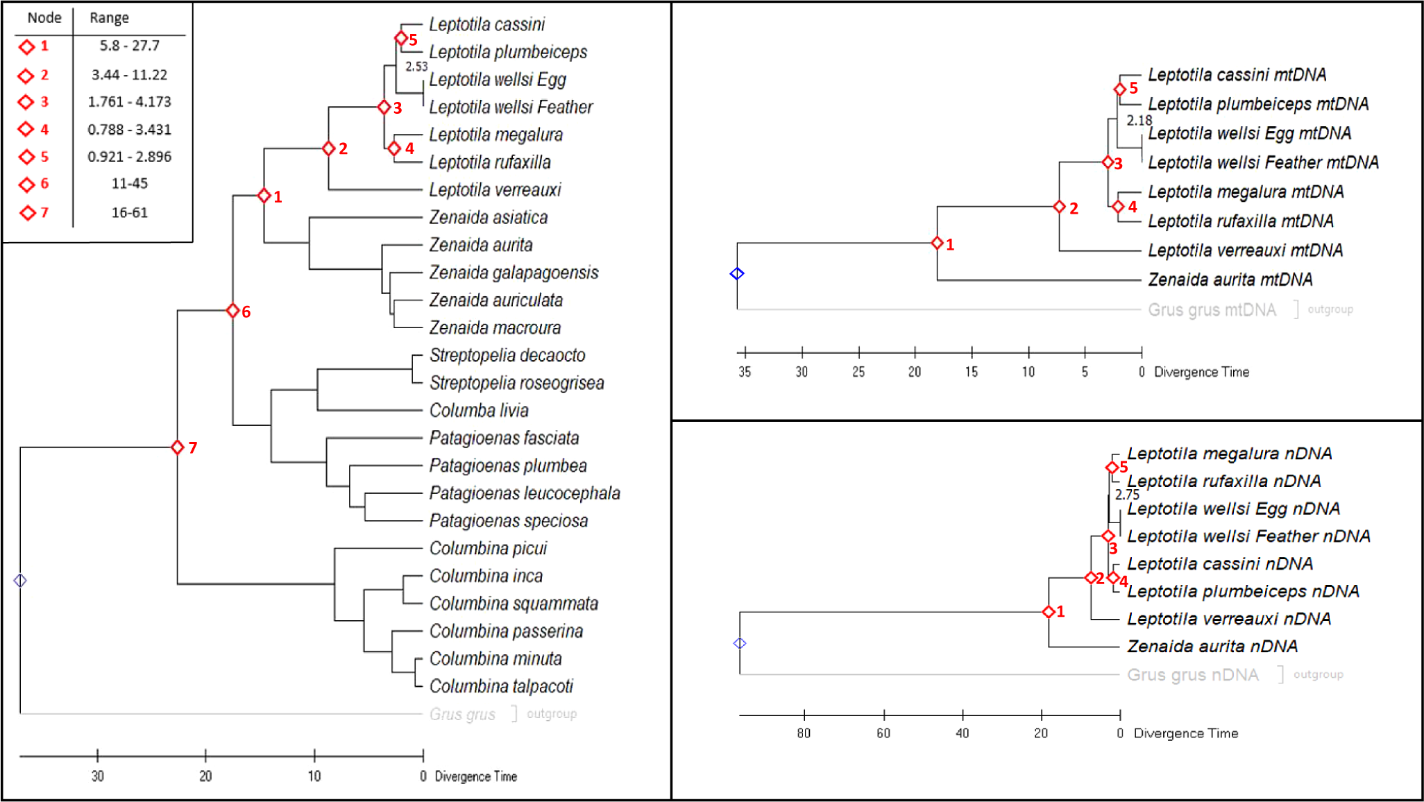 Phylogenetic placement and life history trait imputation for Grenada Dove Leptotila wellsi ...