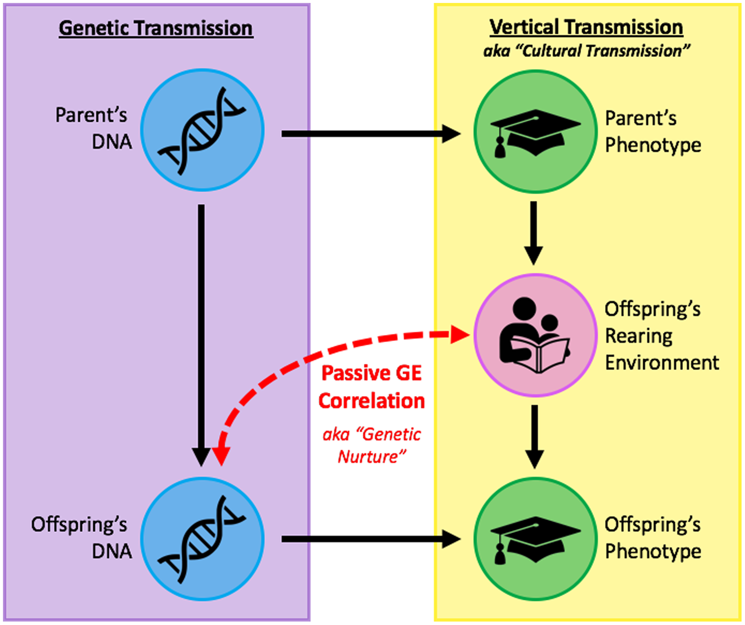 The estimation of environmental and genetic parental influences ...