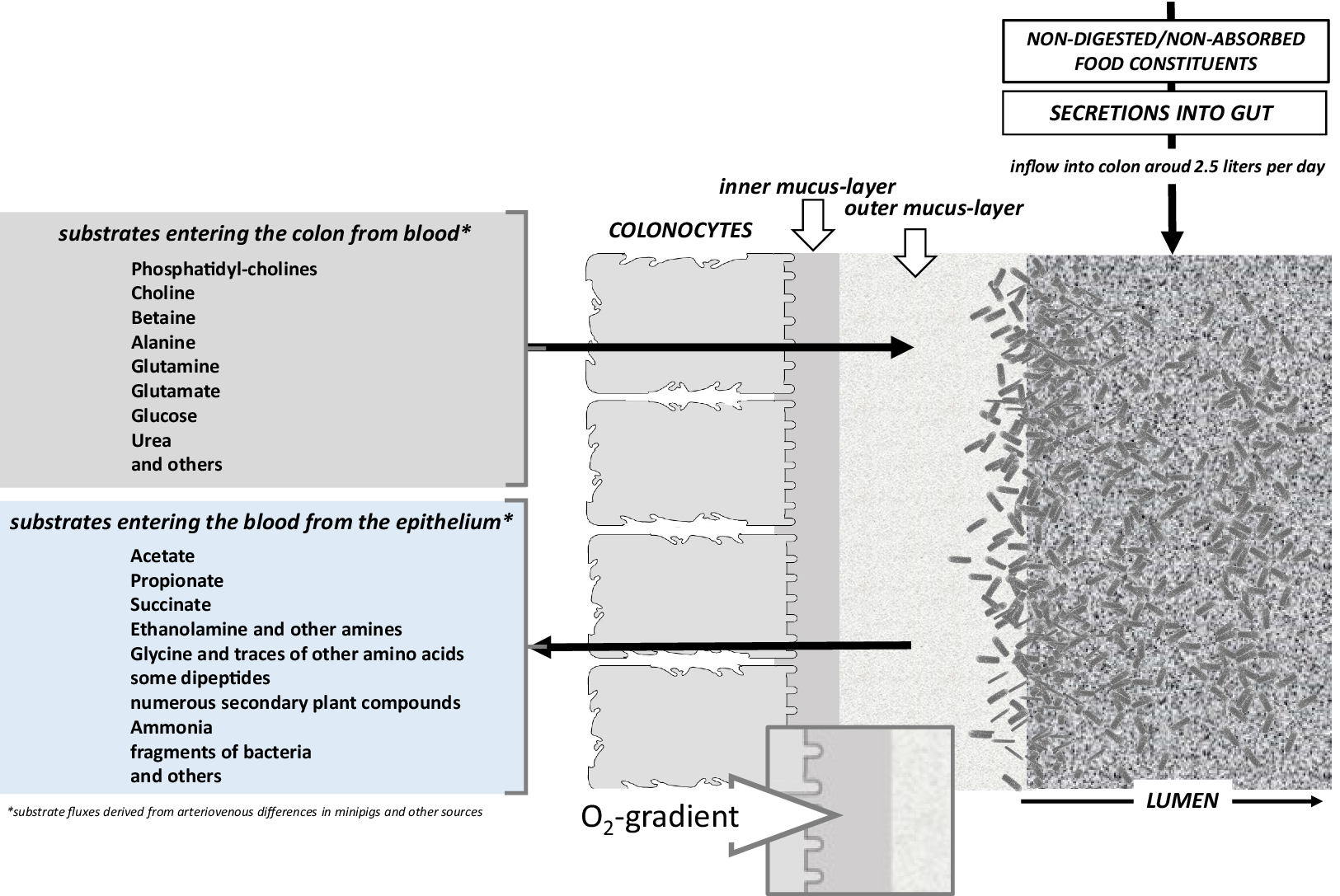 Gut Physiology Meets Microbiome Science Gut Microbiome Cambridge Core