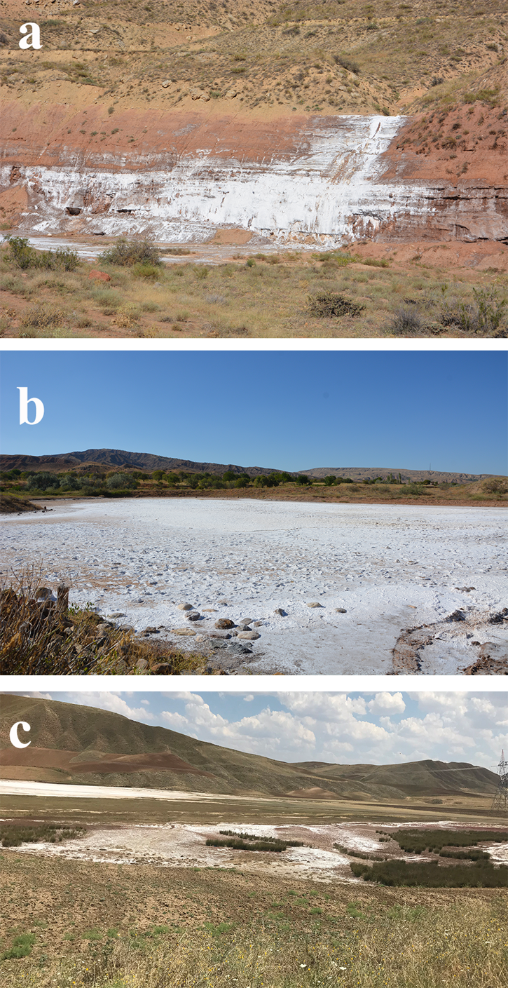 A Model of Salt Production and Consumption Patterns in Bronze Age ...