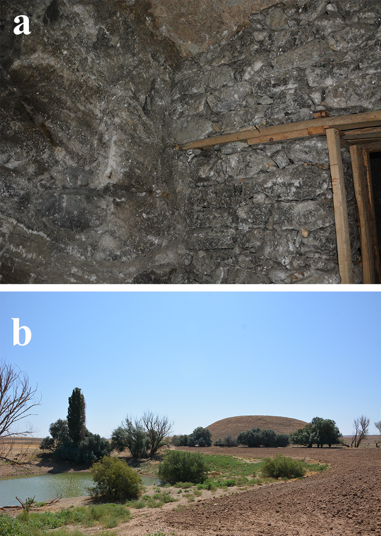 A Model of Salt Production and Consumption Patterns in Bronze Age ...